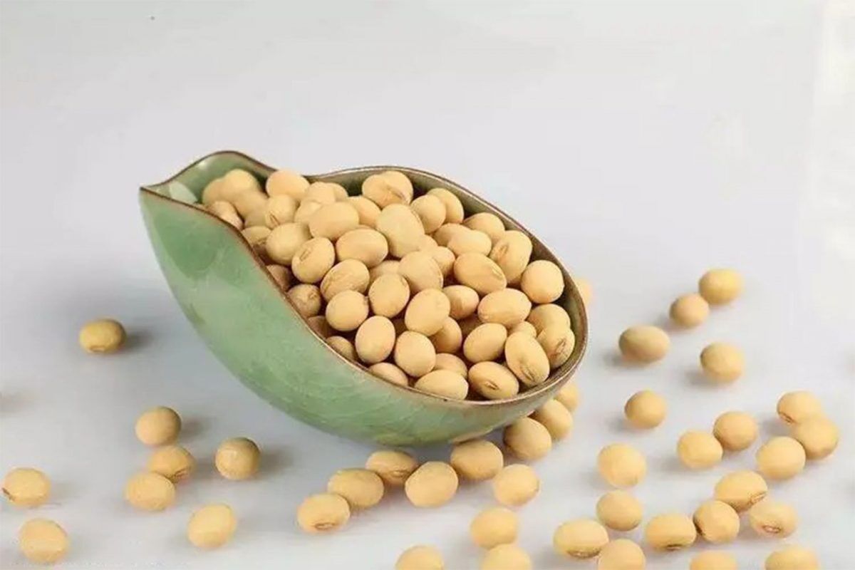 Enhancing Applications of Soy Dietary Fiber - FP Group